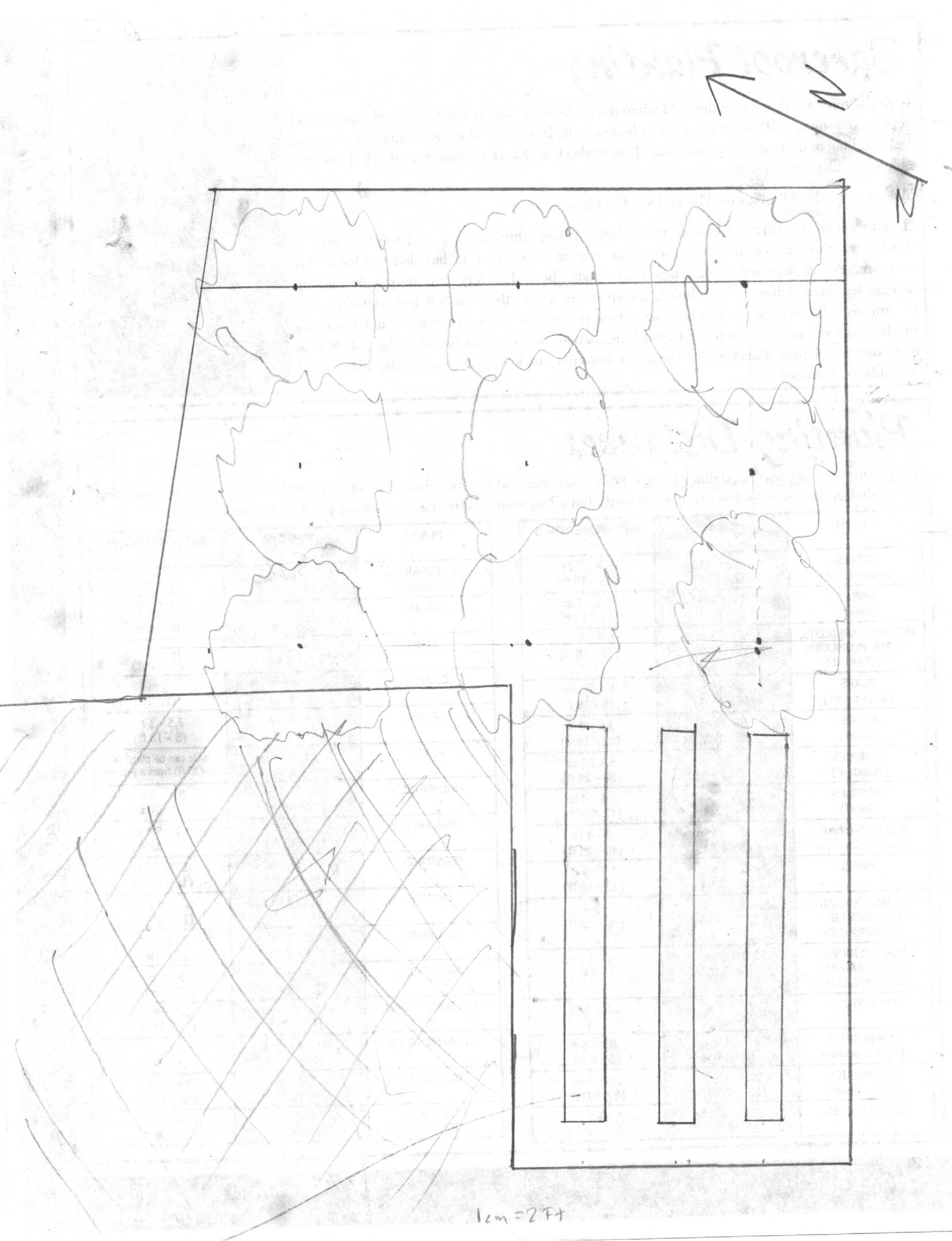 Orchard Plan - General Fruit Growing - Growing Fruit